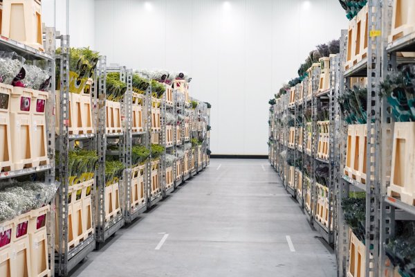 Mehr Auswahl bei RFH Rijnsburg | Marginpar