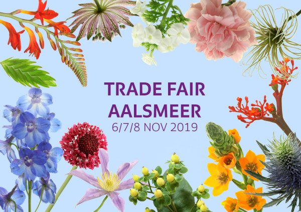 Visit Marginpar at the FHTF 2019 | Marginpar