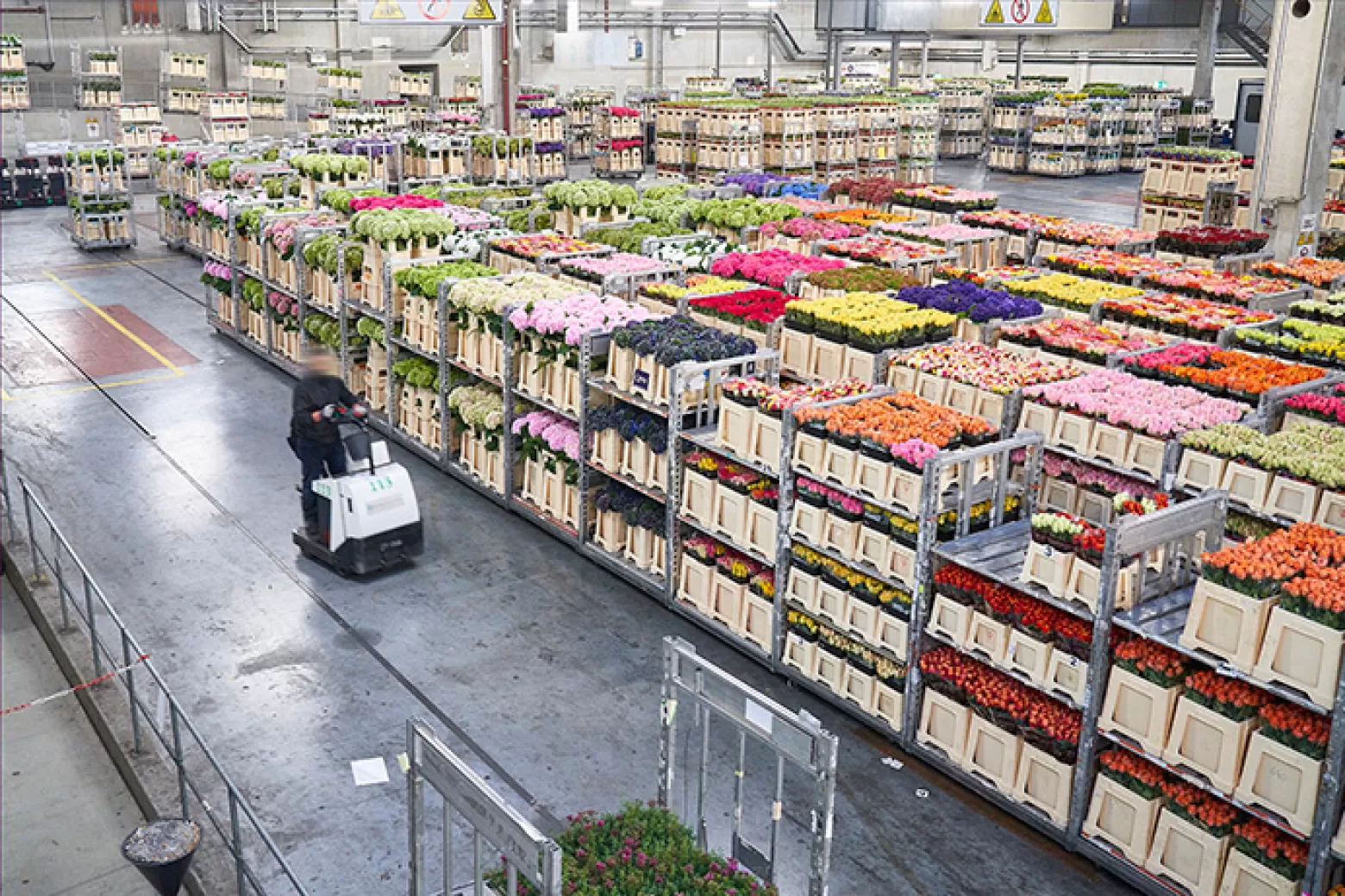 Veiling Rhein-Maas | Marginpar